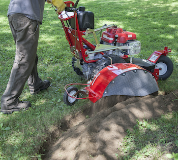 Power edger - Pro Contractor Rentals